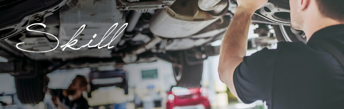 Specified Skilled Worker Visa | IMS Legal Professional Corporation